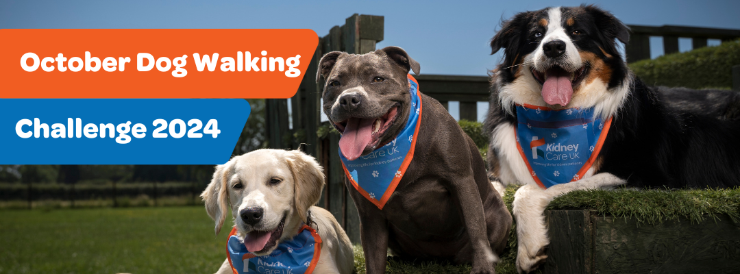 Sign up for October Dog Walking Challenge 2024